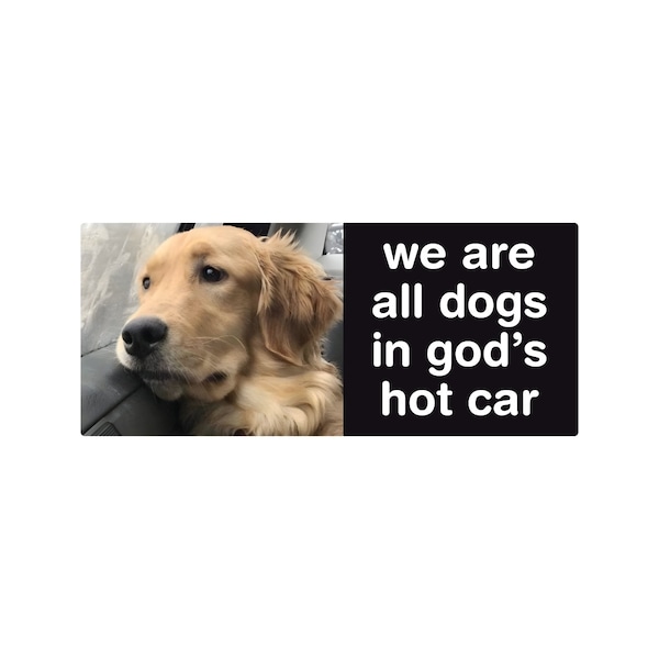 We Are All Dogs in God’s Hot Car - Etsy