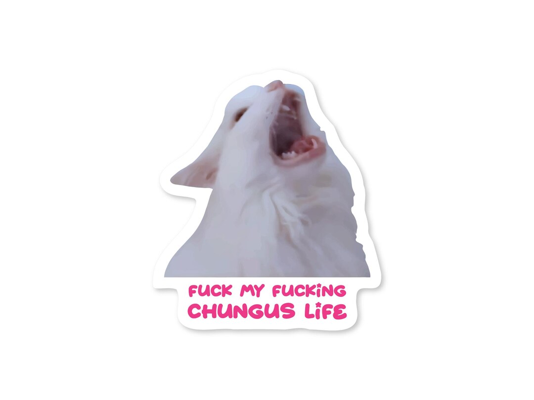 F My F'n Chungus Life 3" Cat Meme Sticker: Funny Waterproof Vinyl ...