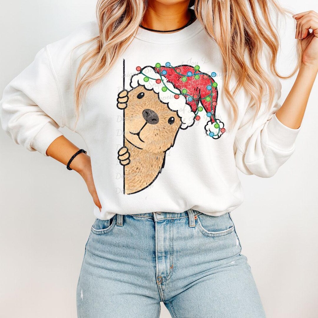 Funny Capybara Christmas Png, Preppy Christmas Jolly Santa Capybaras ...