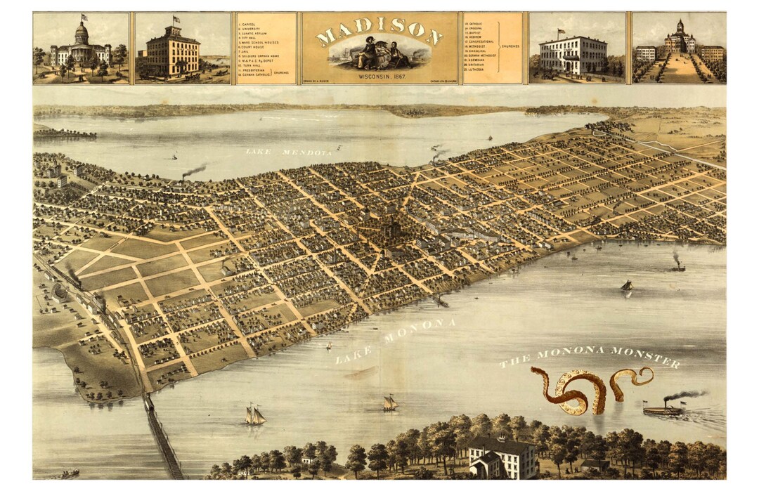 Digital Print, Madison WI, Octopus Tentacles, Madison Art, Cthulhu ...