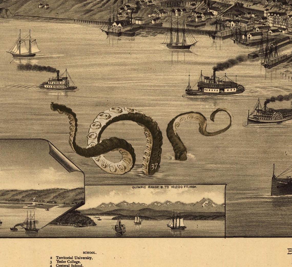 Digital Print Seattle Octopus Tentacles Seattle Map | Etsy