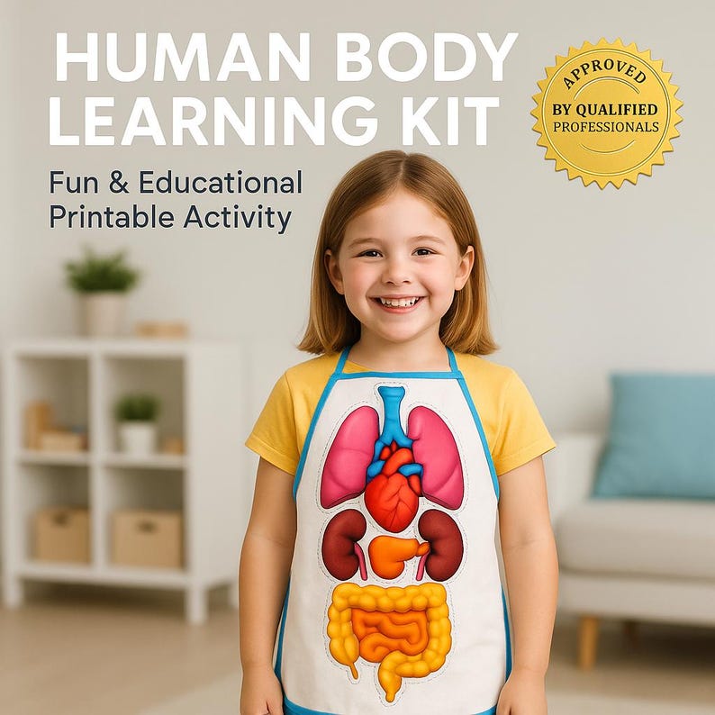 Human Body Anatomy Kit: Printable Organ Activity for Kids - Etsy Australia