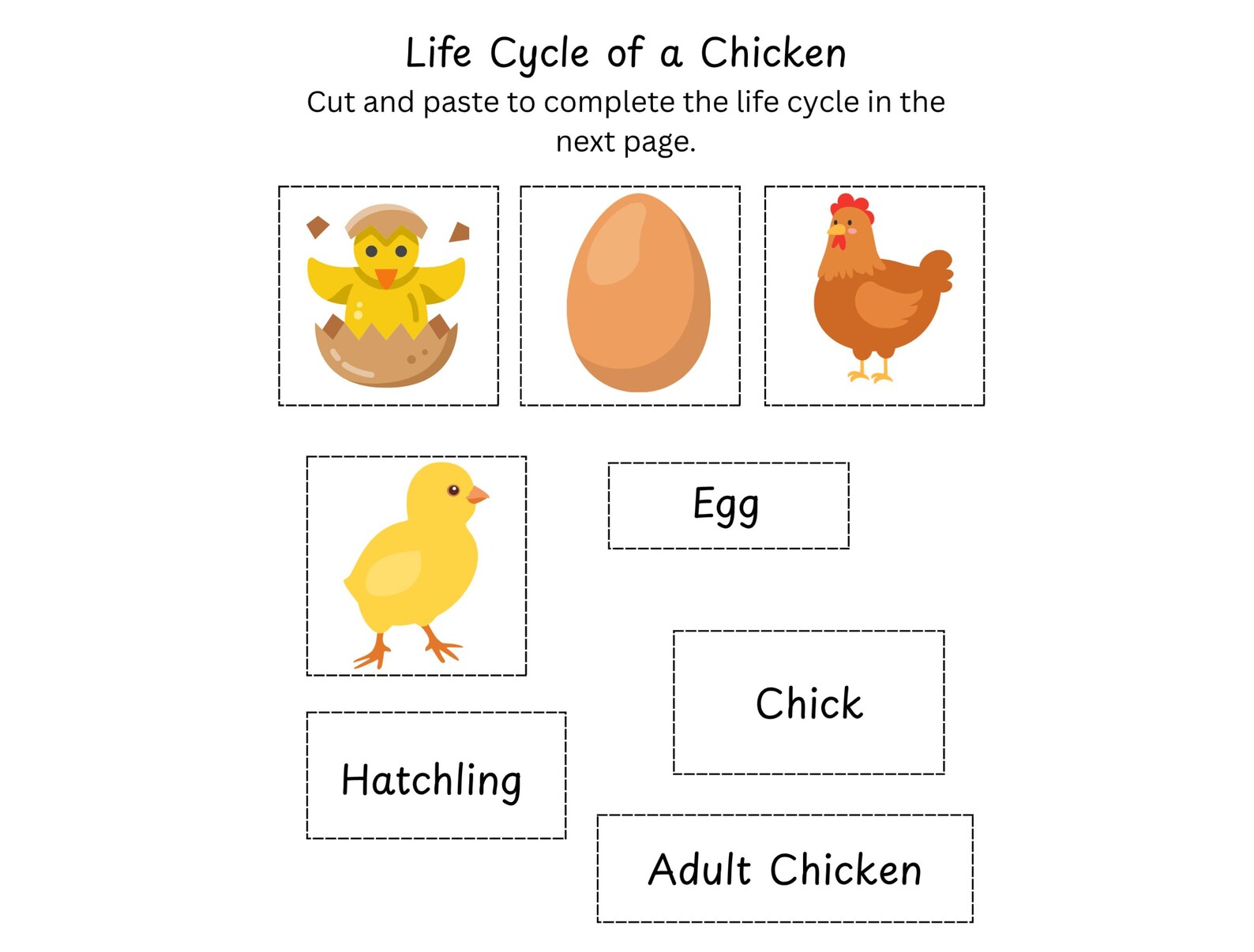 Science Printable for Kindergarten/1st Grade - Etsy