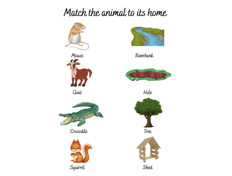 Matching Worksheets for Preschool/kindergarten, Animal Themed, Digital ...