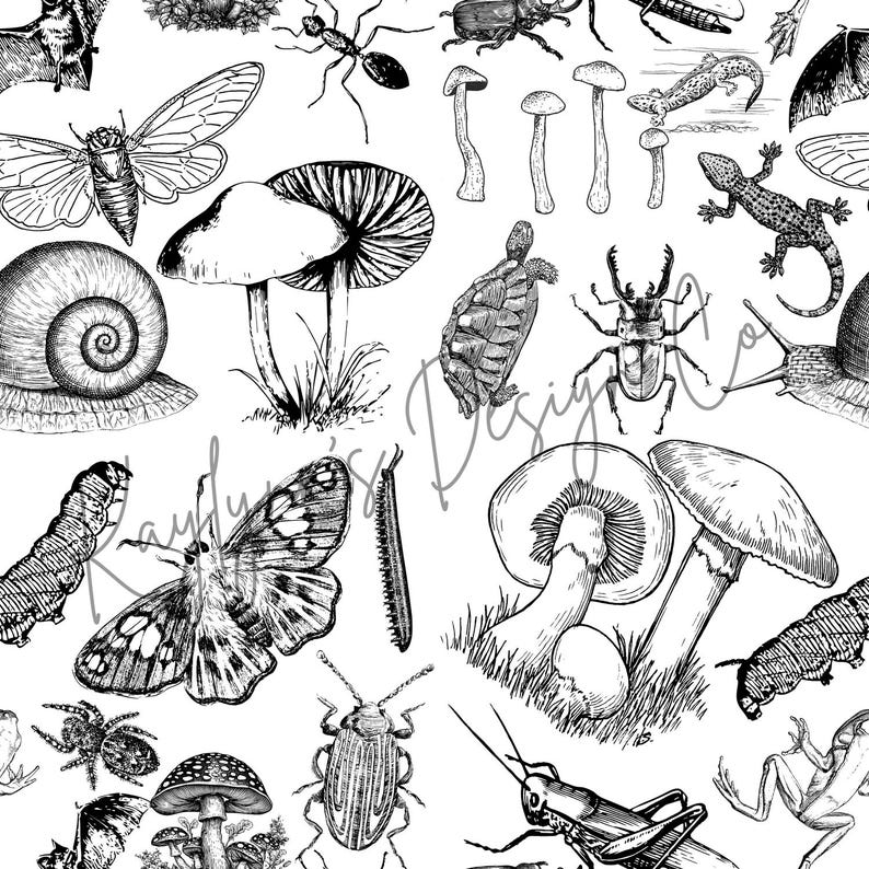 Mushroom and Bugs - Etsy
