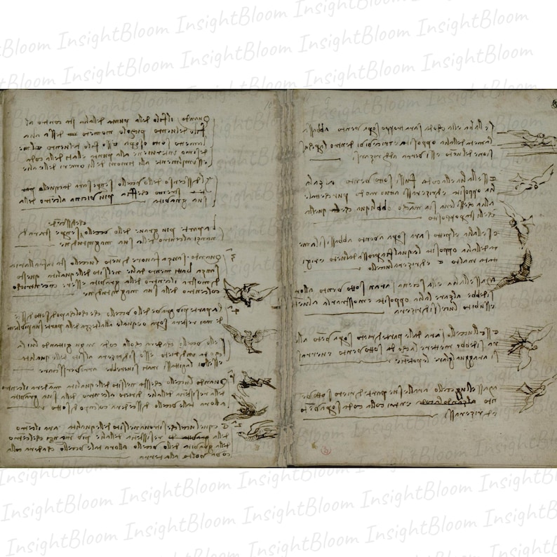Leonardo Da Vinci Flight of Birds Codex – Aerodynamics, Manuscript ...