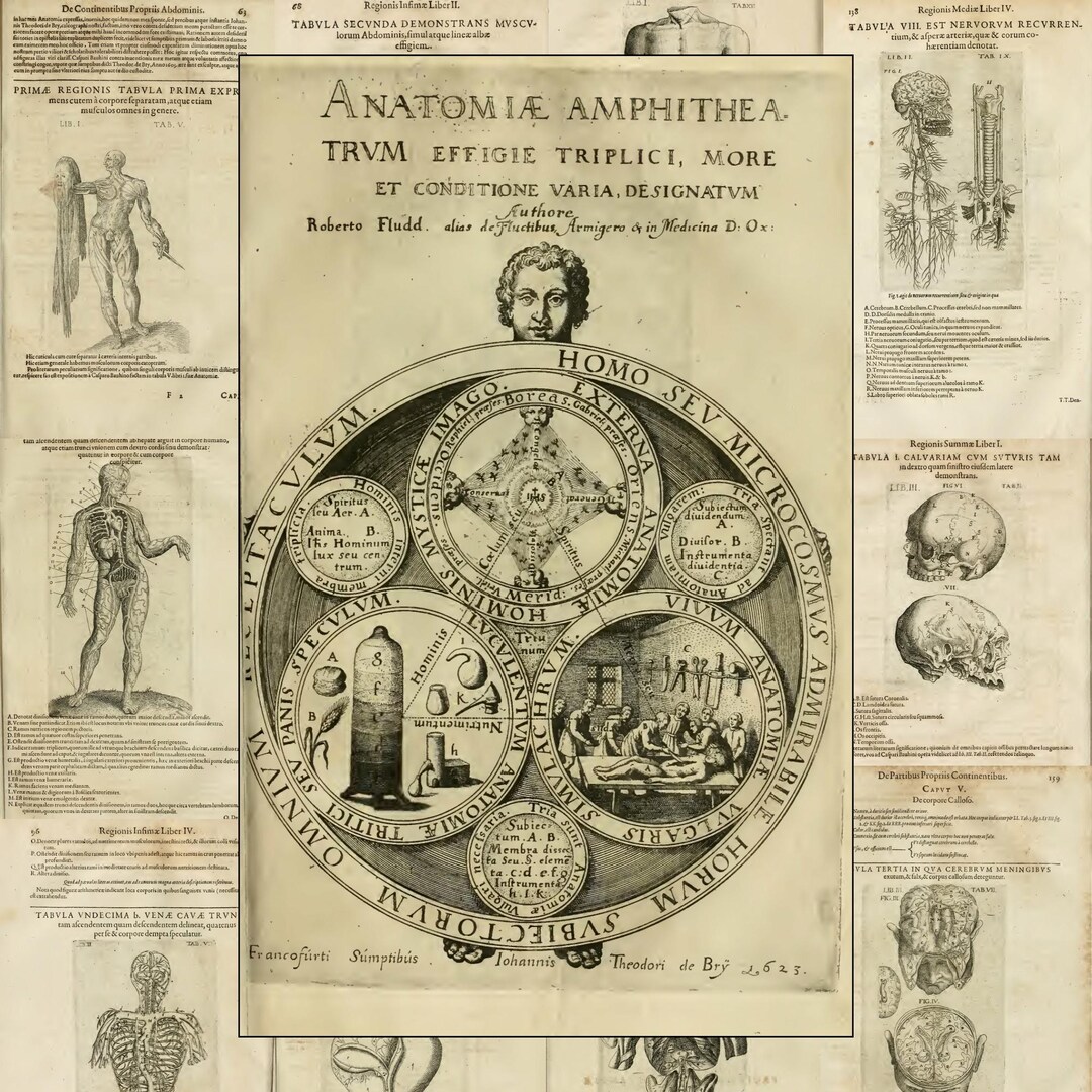 Hermetic Anatomy, Sacred Body & Renaissance Medical Philosophy ...