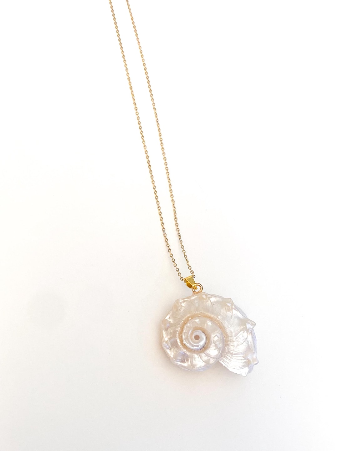Real Nautilus Shell Necklace - Etsy