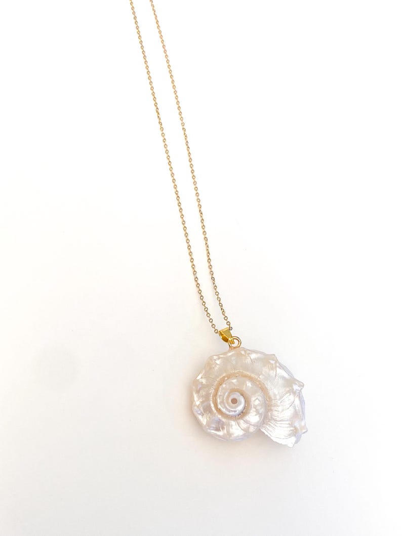 Real Nautilus Shell Necklace - Etsy