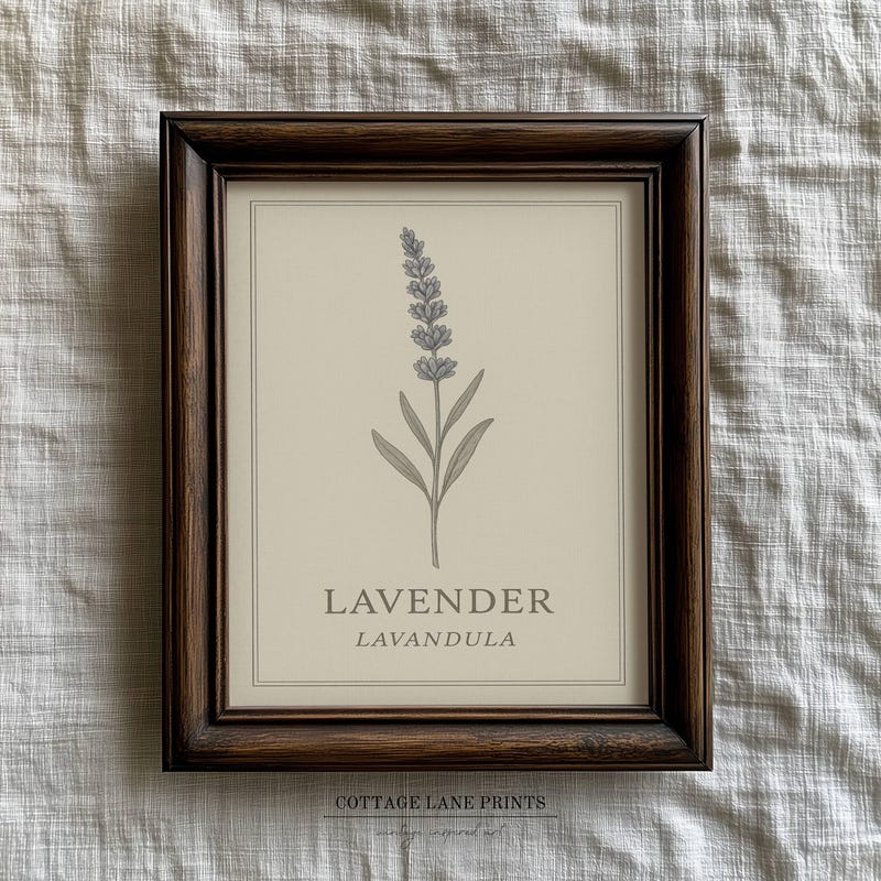 Lavender Cottage - Etsy