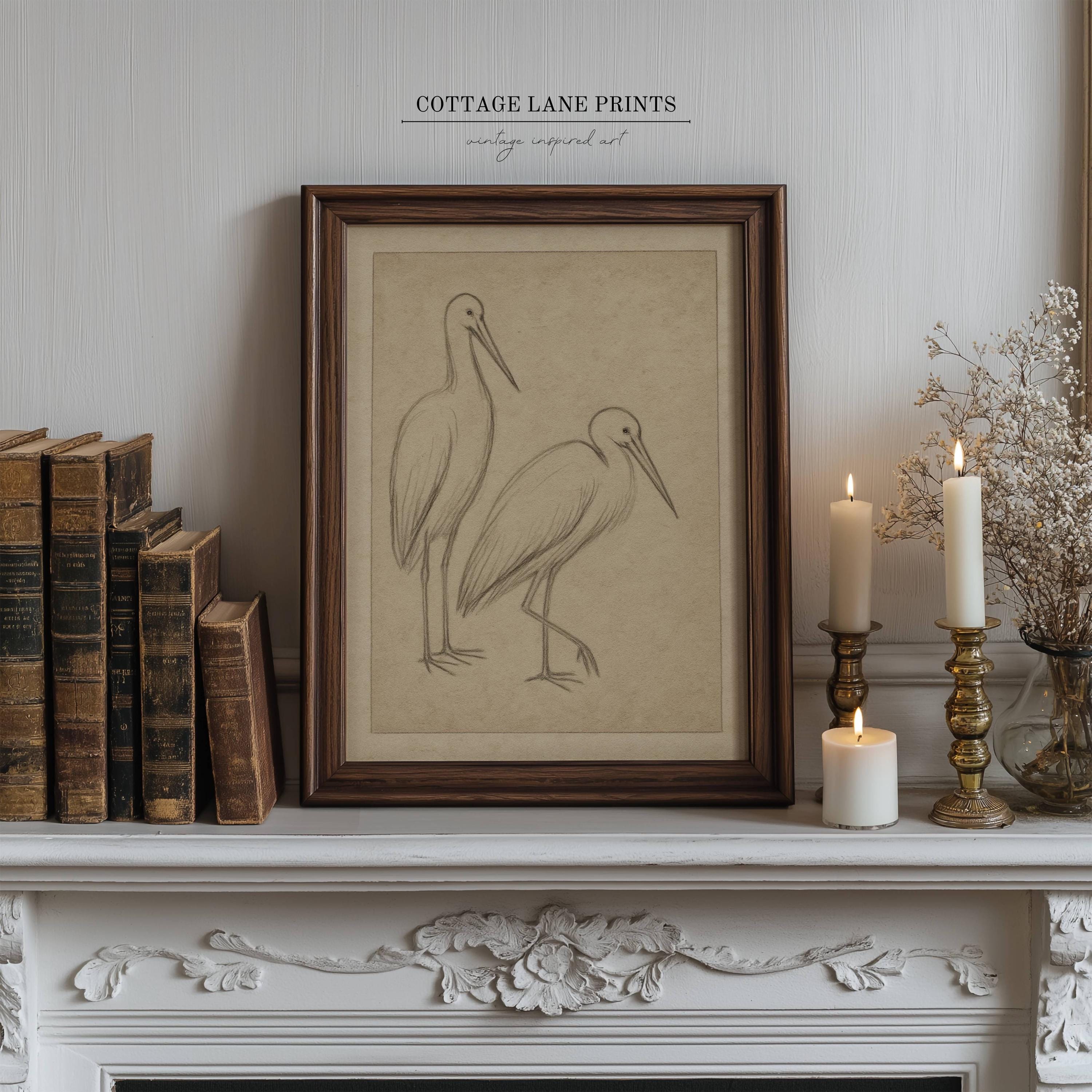 Vintage Stork Printable Wall Art – Minimalist Charcoal Bird Drawing ...