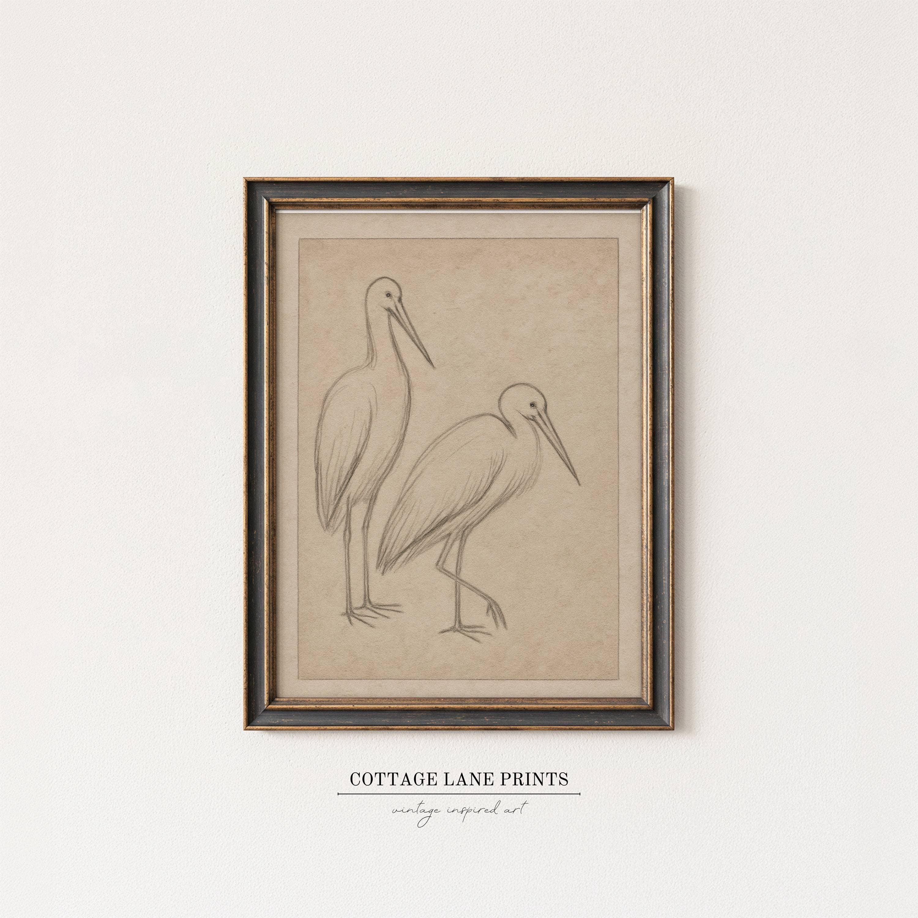 Vintage Stork Printable Wall Art – Minimalist Charcoal Bird Drawing ...
