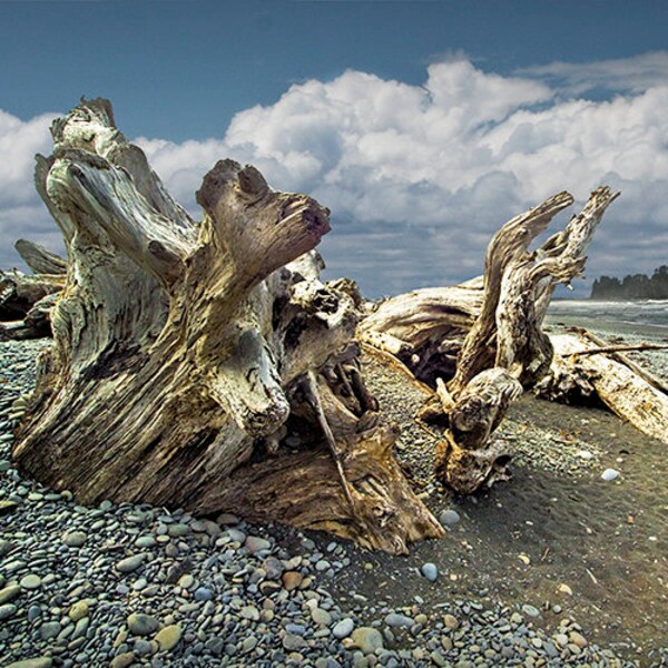 Driftwood Stump - Etsy