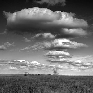 White Cloud Formation Over a Sawgrass Marsh in the Florida Everglades ...