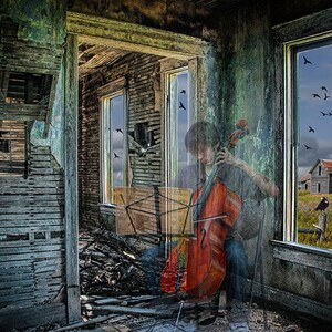 Cello Musician Surreal Photograph Black Birds Abandoned | Etsy