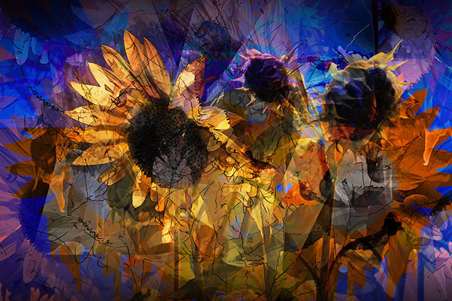 Abstract Graphic Sunflowers Blooming in a Field Near Rockford - Etsy