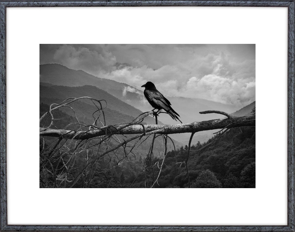 Black Raven Raven Sentinel Misty Mountains Smoky Mountains | Etsy
