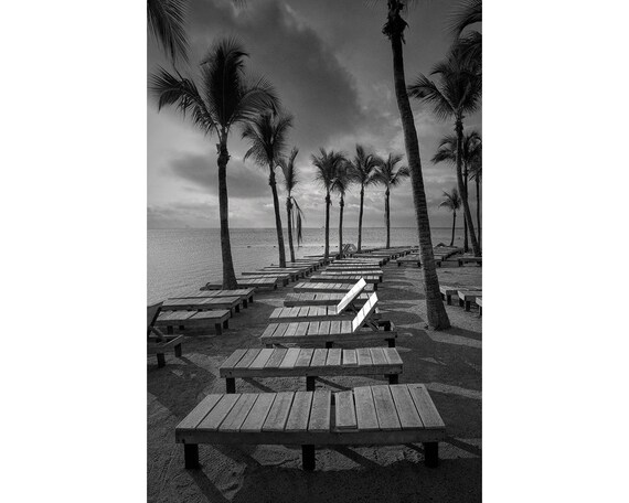 Sun Tanning Benches at Sunrise on a Sandy Beach With Palm | Etsy