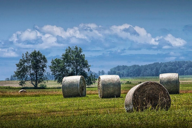 Hay Bales in a Midwest Michigan Field Rustic Farmhouse Decor - Etsy