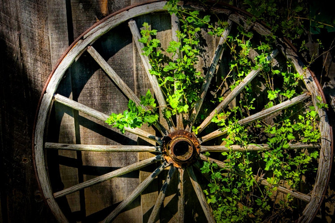 Wagon Wheel Photograph, Wooden Wheel, Rustic Wall Decor, Wagon Spokes ...