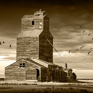 Harvest Grain Elevator on the Prairie in North Dakota With Flying Geese ...
