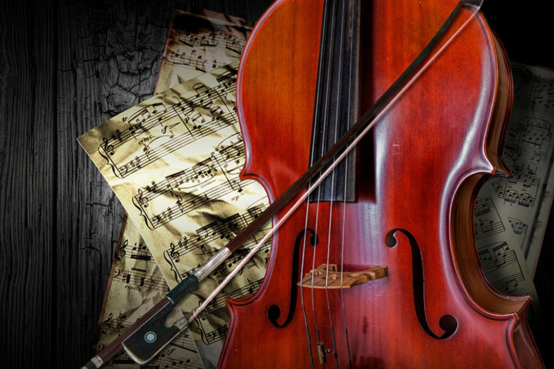 Cello Art, Cello Bow, Acoustic Stringed Instrument, Musical Instrument ...