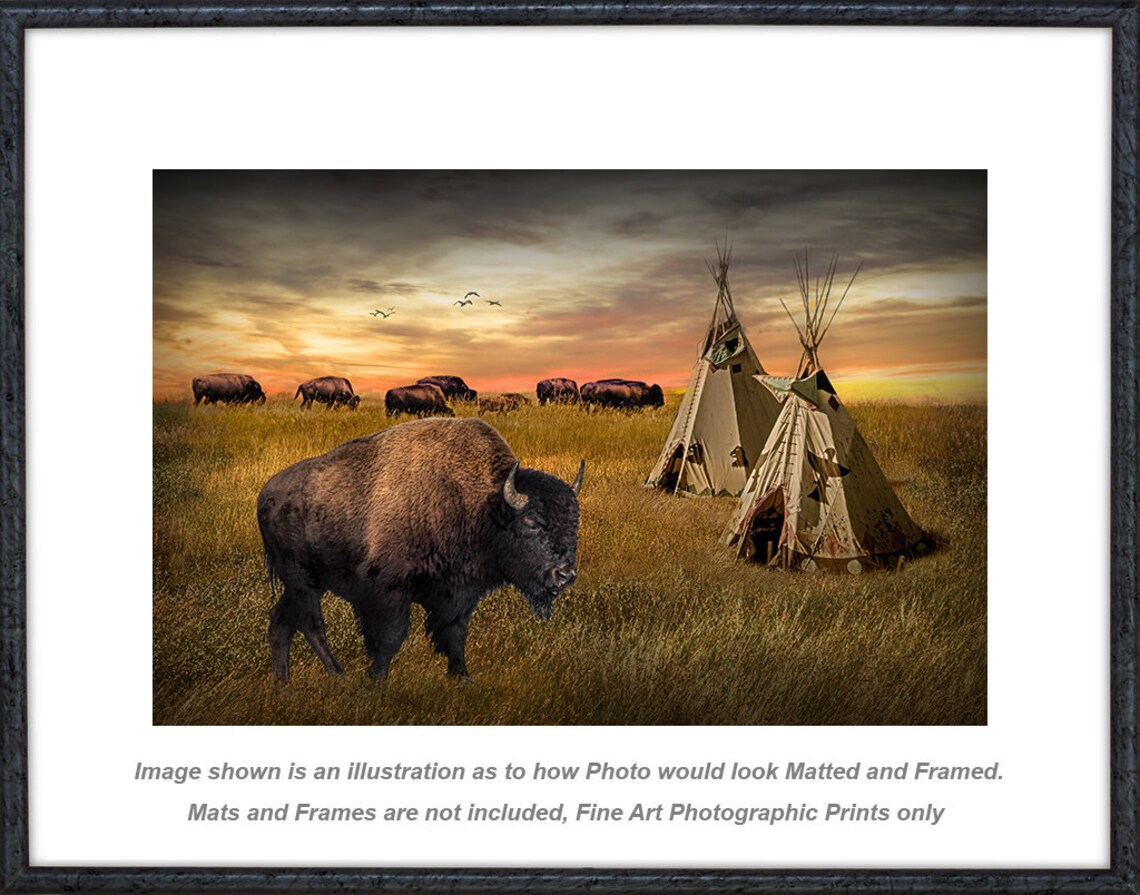 Prairie Landscape Photograph: Teepees and Buffalo Herd, Native American ...