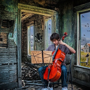 Cello Musician, Cello Instrument, Black Birds, Abandoned House, Music ...