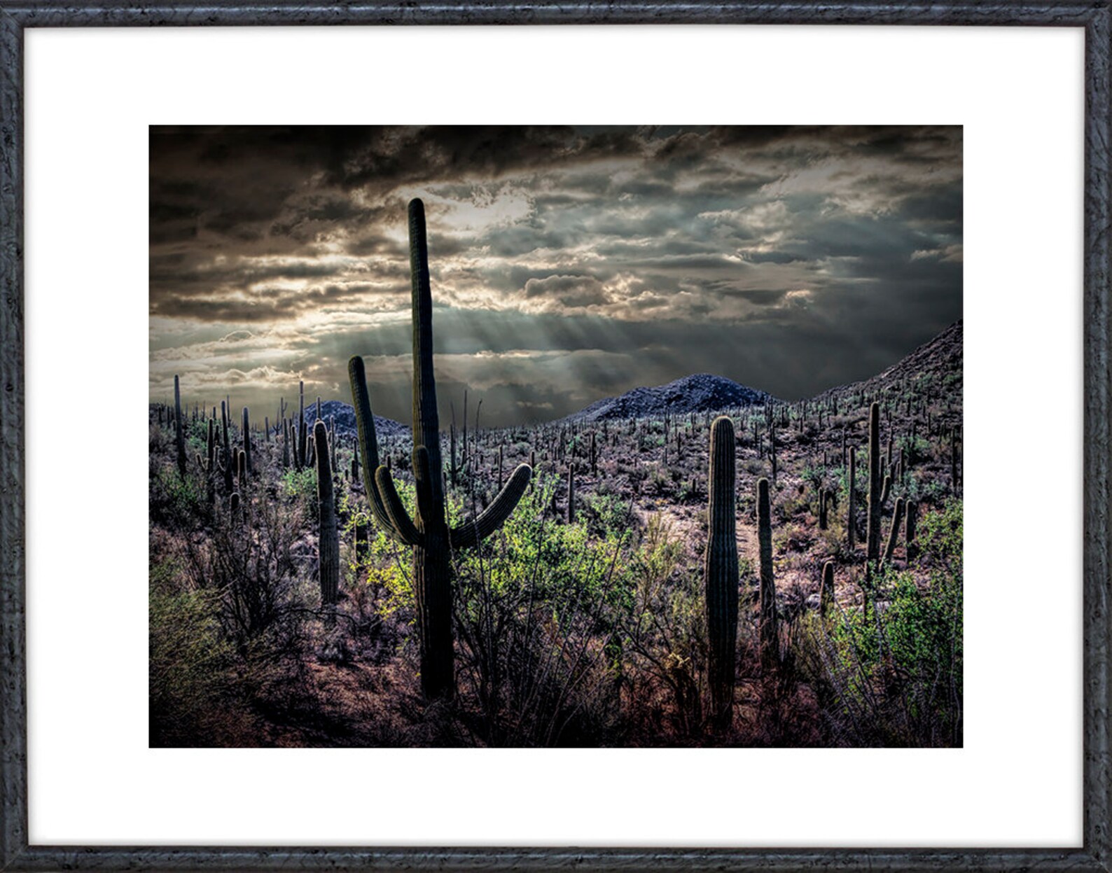 Saguaro Cactus Wall Decor of Western Art Cacti at Sunrise in - Etsy