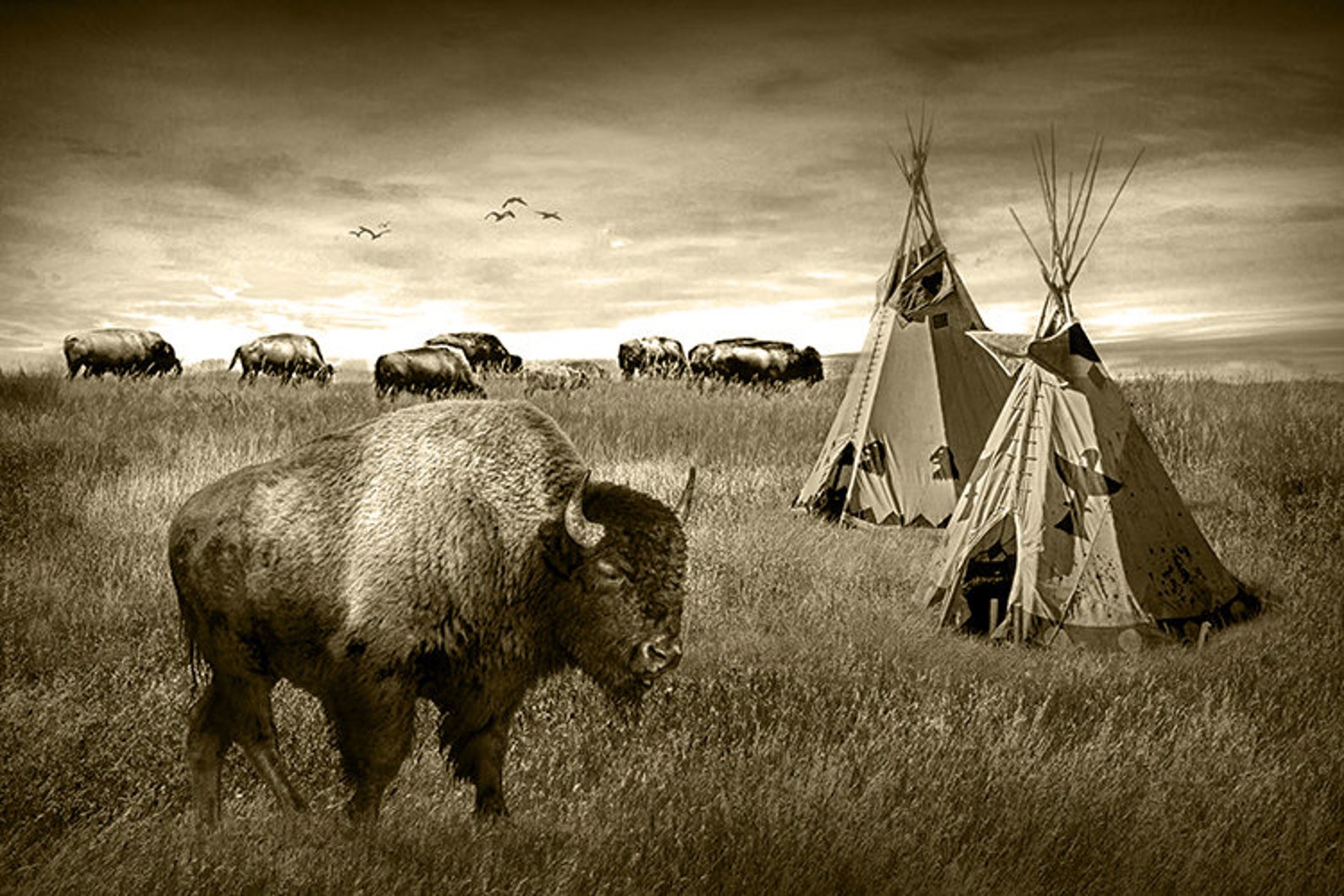 Prairie Landscape Photograph: Teepees and Buffalo Herd, Native American ...