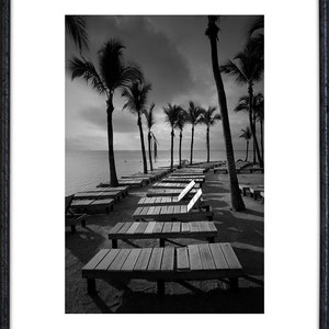 Sun Tanning Benches at Sunrise on a Sandy Beach With Palm Trees in ...