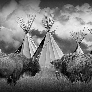 Indian Tribe Teepee Village With American Buffalo Bison Herd on the ...
