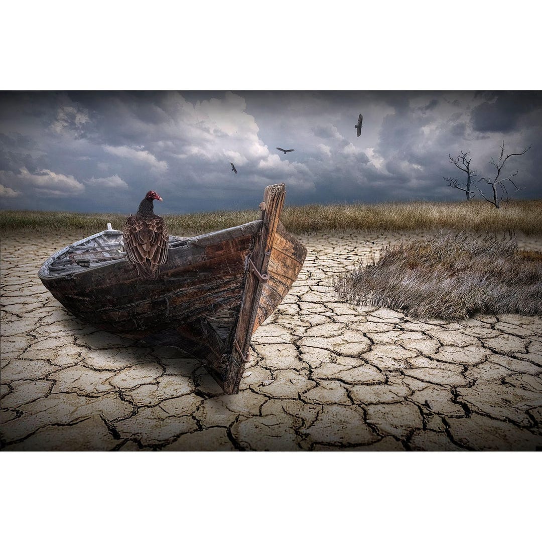 Parched Earth Art Print: Stranded Boat, Circling Vultures - Etsy