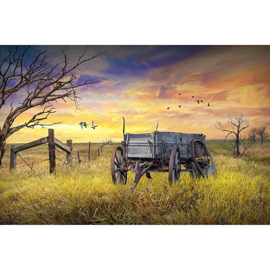Americana Farm Landscape Print: Ducks, Geese, and Old Wagon - Etsy