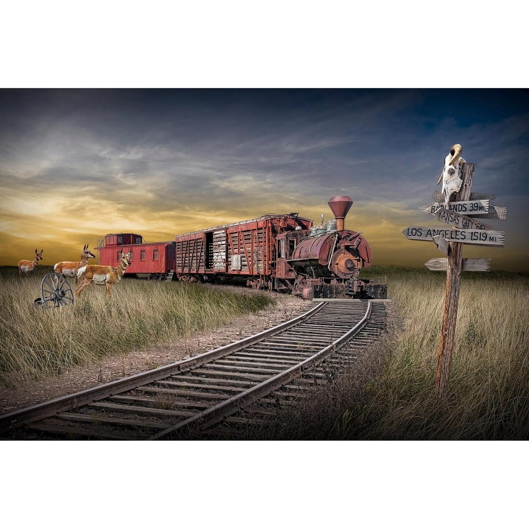 Prairie Train & Longhorn Antelope Art Print: Western Landscape Photo - Etsy