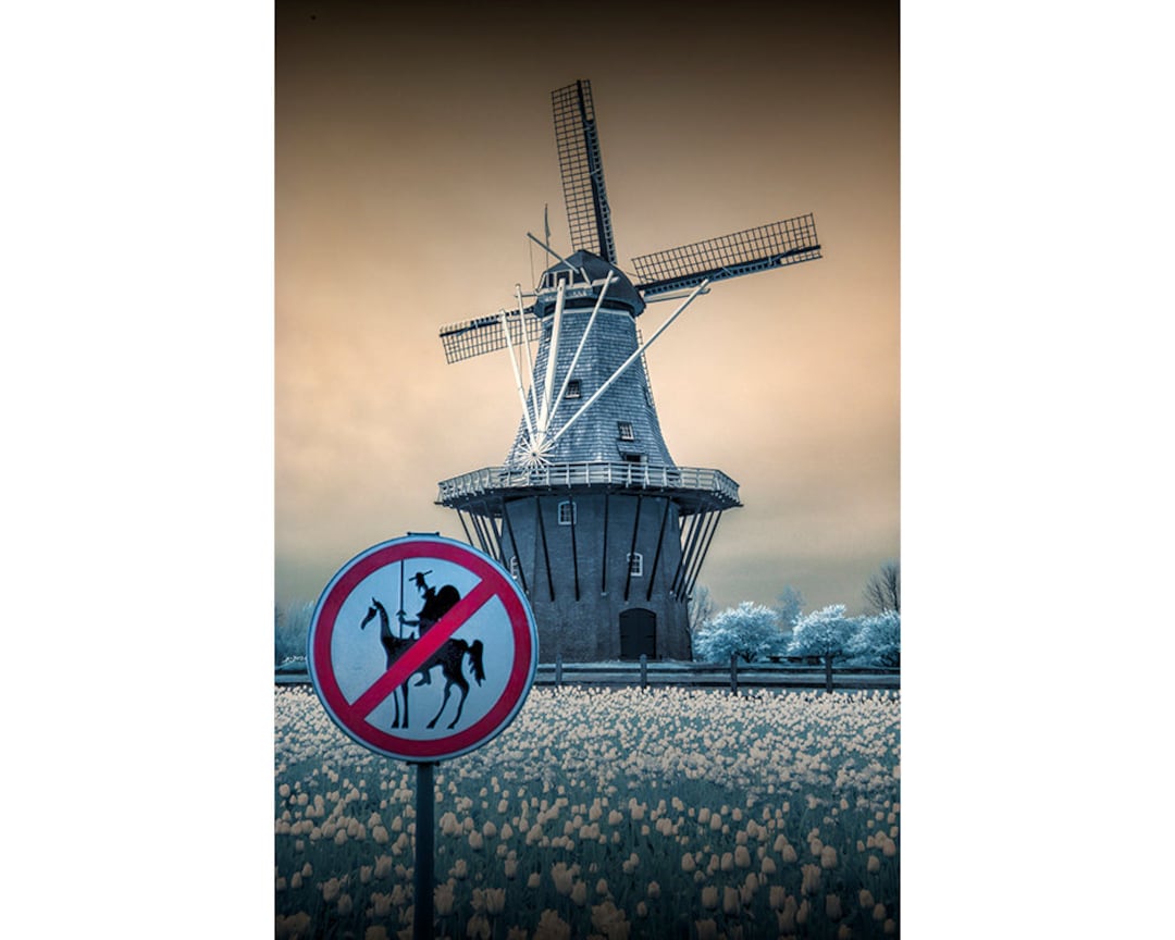 No Tilting at the Windmills With a Don Quixote Sign and Dutch Windmill ...