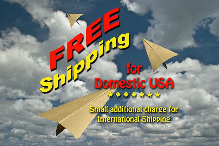 White Spirit Buffalo Also Called Ghost Buffalo or Spirit - Etsy