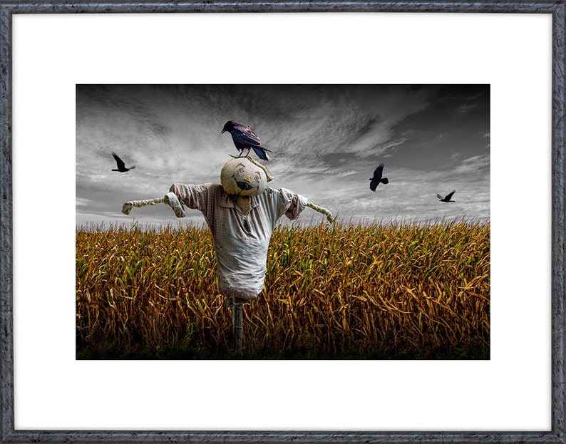 Cornfield Scarecrow Black Crows Halloween Theme Scarecrow - Etsy