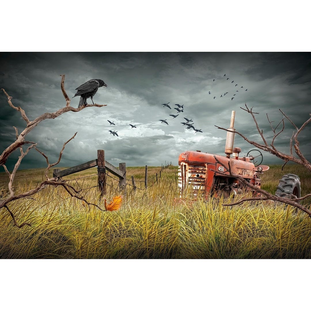Half Past Autumn With Old Abandoned Red Tractor and Migrating Flying ...