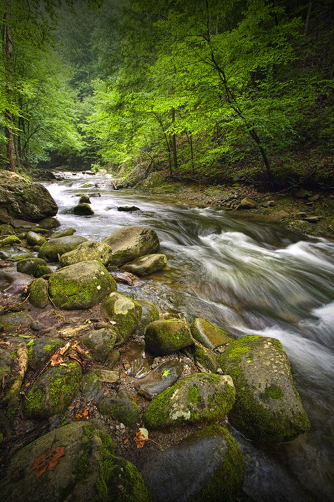 Oconaluftee River a Mountain Stream in the Great Smoky Mountain ...