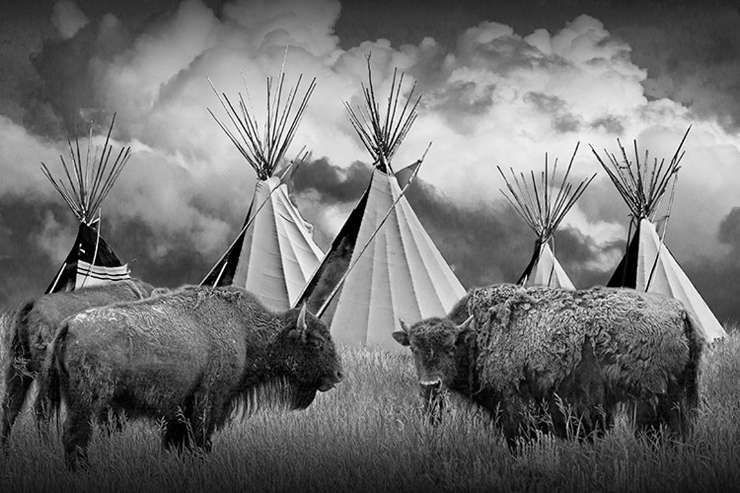 Indian Tribe Teepee Village With American Buffalo Bison Herd on the ...