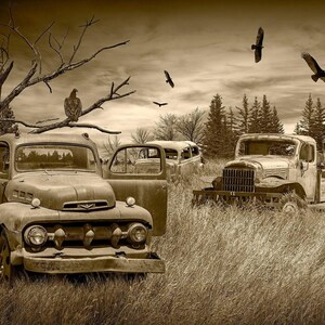 Auto Graveyard With Abandoned Cars and Trucks in A Rural Country ...