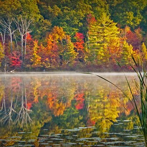 Autumn Colors, Lake Reflections, Colorful Trees, Lake Cattails, Fall ...