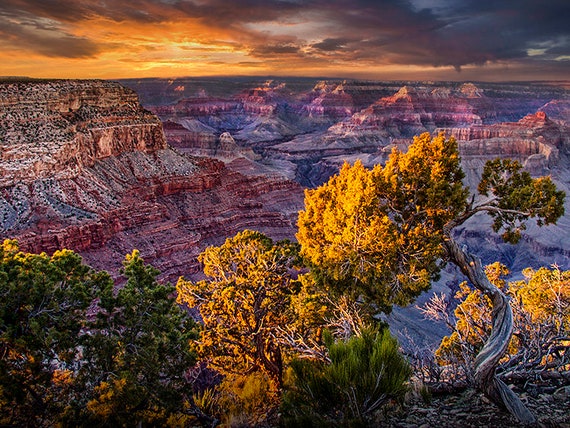 Grand Canyon Arizona Landscape