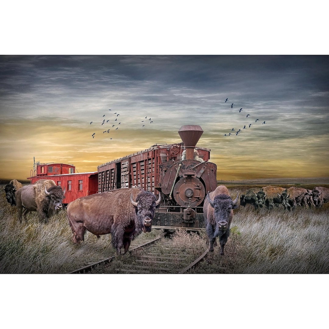 American Bison Herd With Locomotive Train on the Prairie, Western Art ...