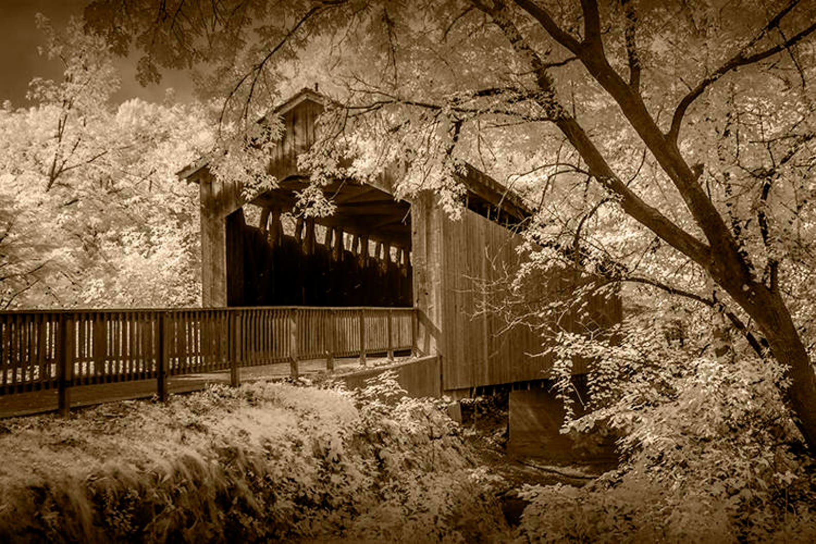 Infrared Photograph Covered Bridge Wooden Bridge Thornapple | Etsy