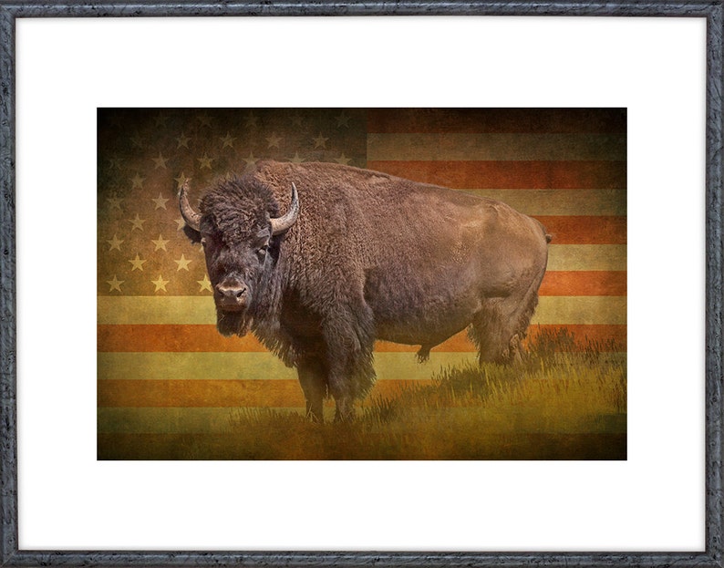 American Buffalo Photograph: Stars and Stripes Flag Art - Etsy