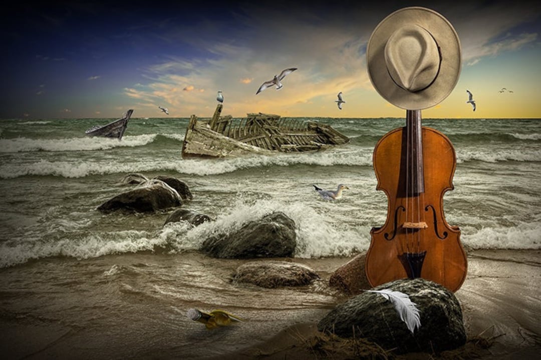 Violin on the Beach With Crashing Waves Over the Rocks and Flying Gulls ...