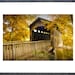 Covered Bridge Photo, Wooden Bridge, Ada Bridge, Thornapple River ...