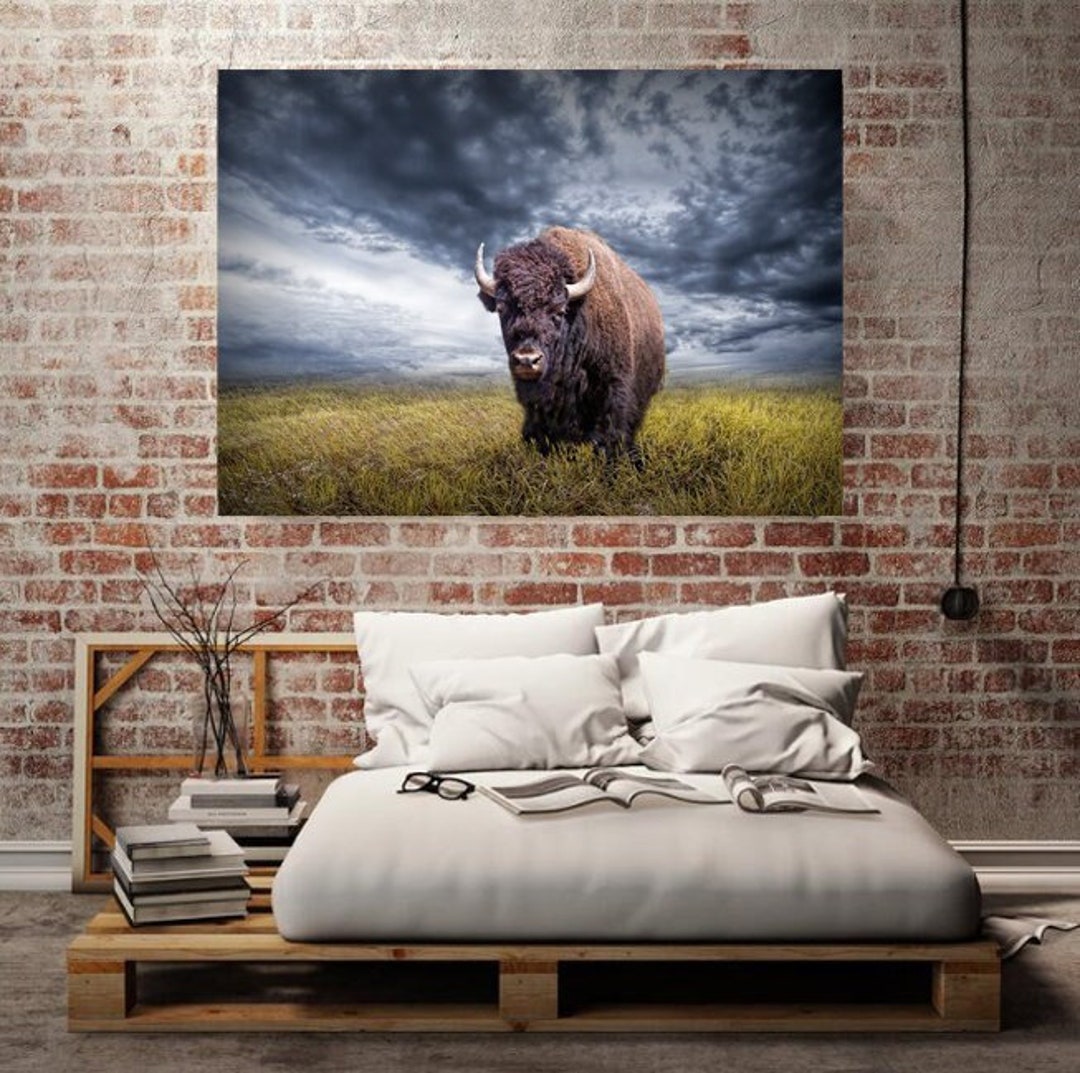 Rustic Wall Decor of American Buffalo in Yellowstone National Park ...